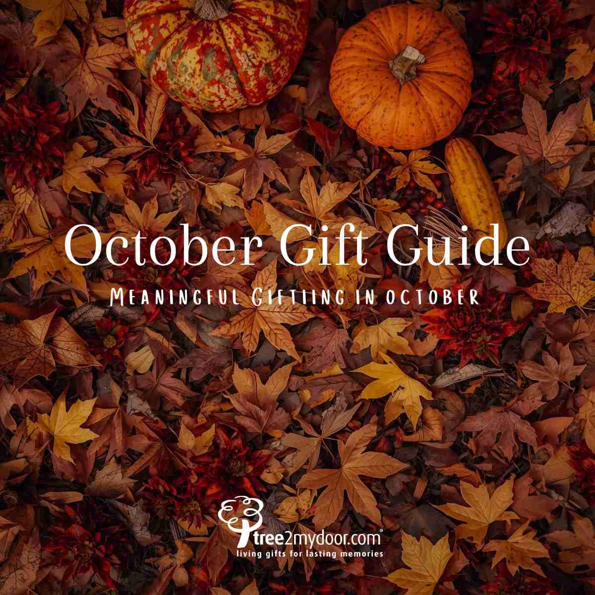 October Gift Guide | Thoughtful Living Gifts from Tree2mydoor