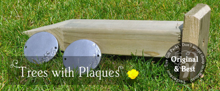 Tree With Plaque | Plant & Tree Gifts