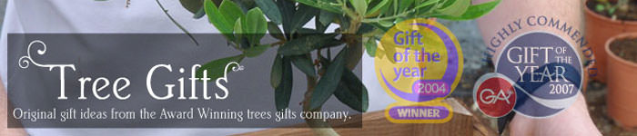 Tree Gifts | Send Trees as Gifts