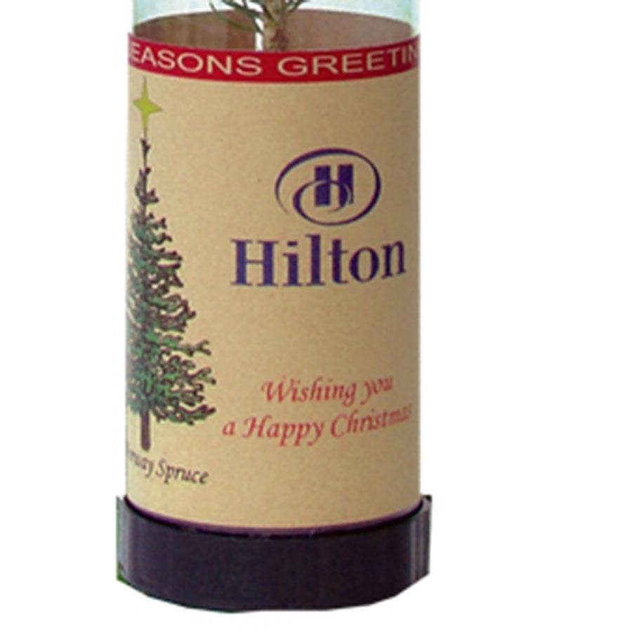 Promotional Trees in Tubes - Business Gifts at Tree2mydoor UK