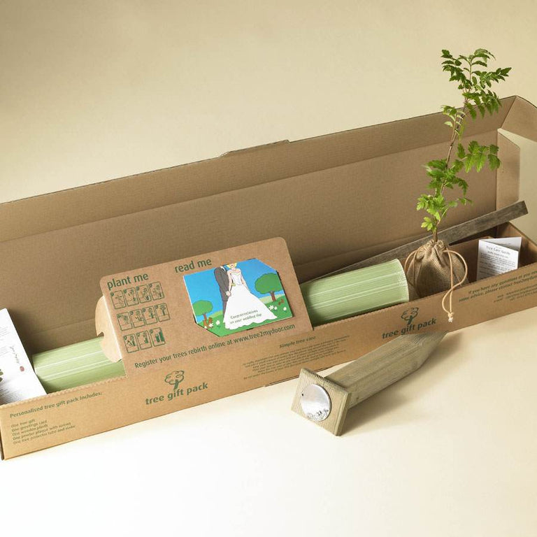 Wedding Tree Gift Pack | Wedding Tree with Plaque Kit – Tree2mydoor
