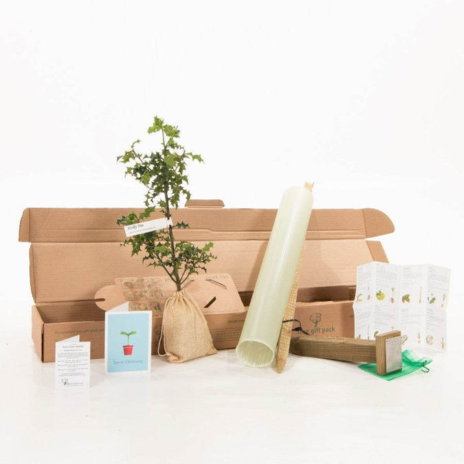 Christening Tree Gift Pack with Engraved Plaque – Tree2mydoor