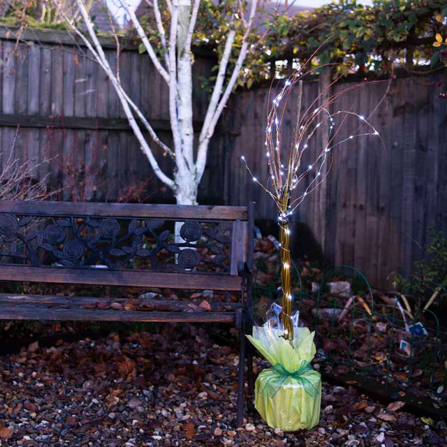 Willow Wand Gift | Send a Hand Woven Willow Tree as a Gift