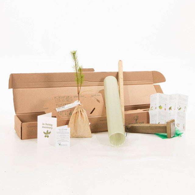 Order a Memorial Tree Gift Pack | Tree2mydoor