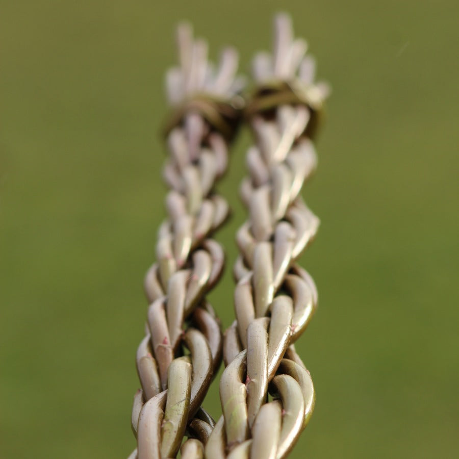 Pair of Willow Wand Gifts | Buy Hand Woven Willow Trees