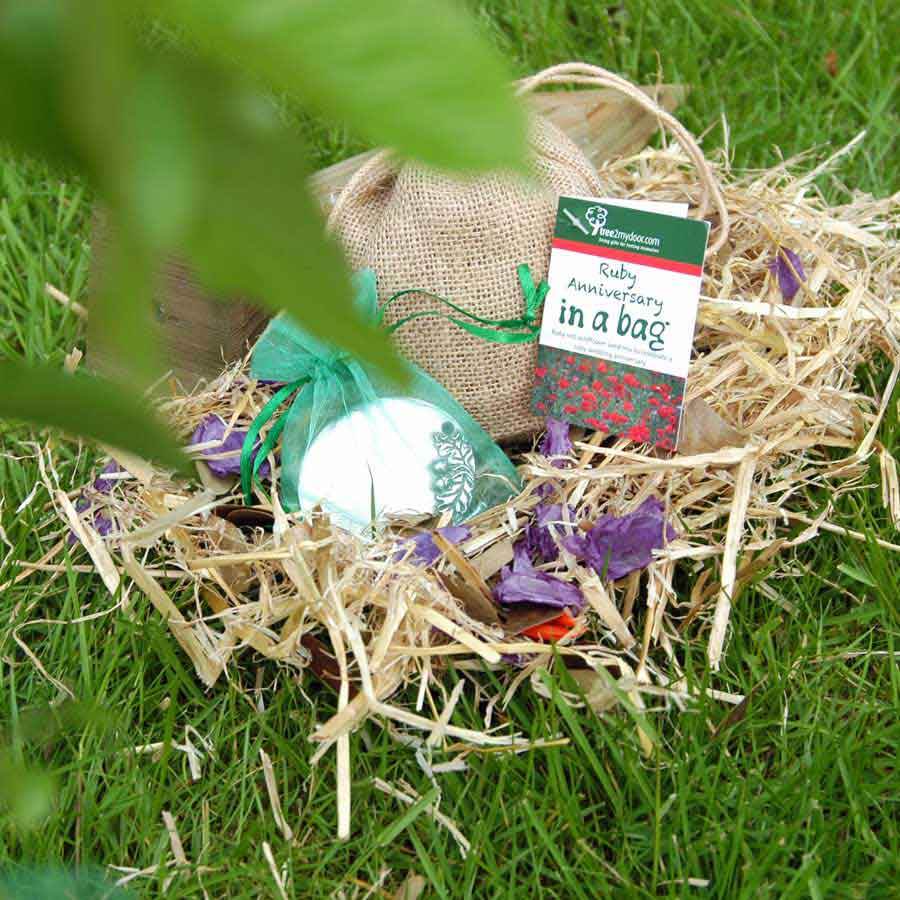 40th (Ruby) Wedding Anniversary Tree Gift Pack | Ruby Gift Ideas