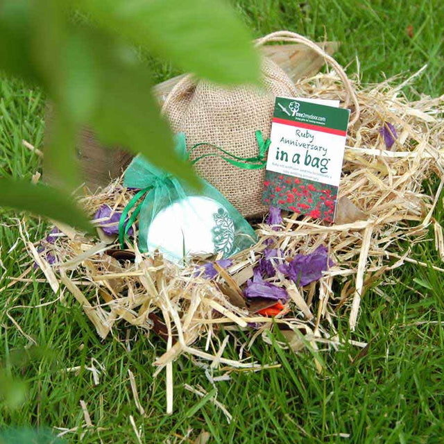 40th (Ruby) Wedding Anniversary Tree Gift Pack | Ruby Gift Ideas