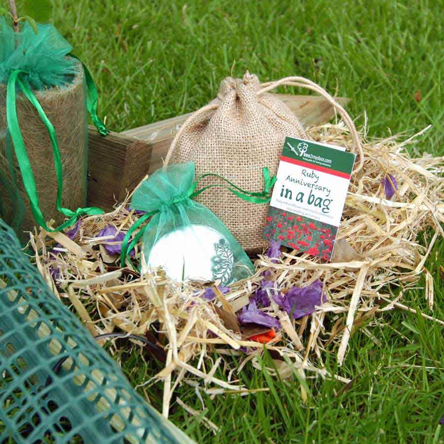 40th (Ruby) Wedding Anniversary Tree Gift Pack | Ruby Gift Ideas