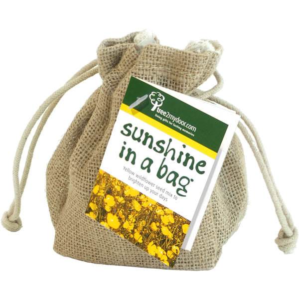 Sunshine in a Bag Gift | Send Wildflower Seed – Tree2mydoor