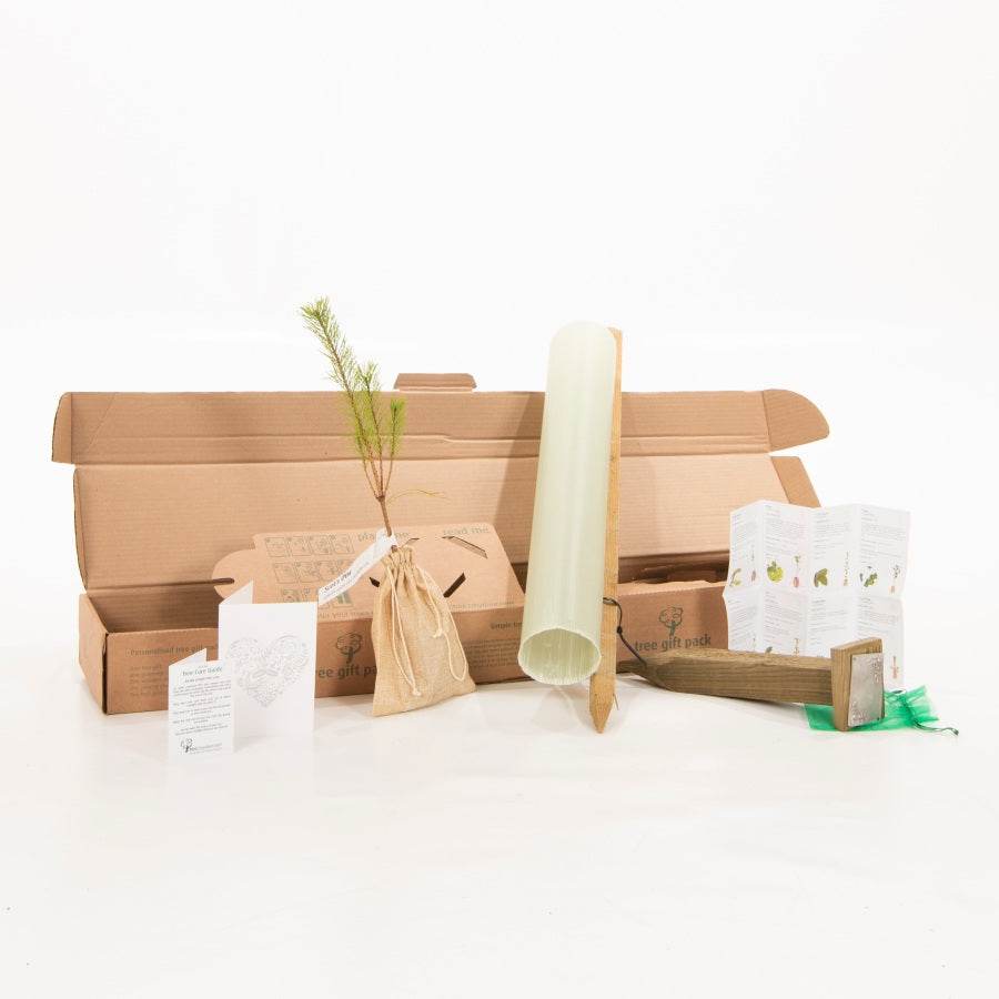 Order a Wedding Tree Gift Pack | Tree2mydoor