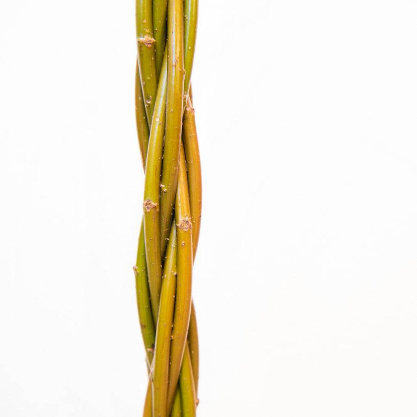Pair of Willow Wand Gifts | Buy Hand Woven Willow Trees